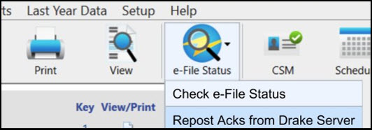 e-File Status